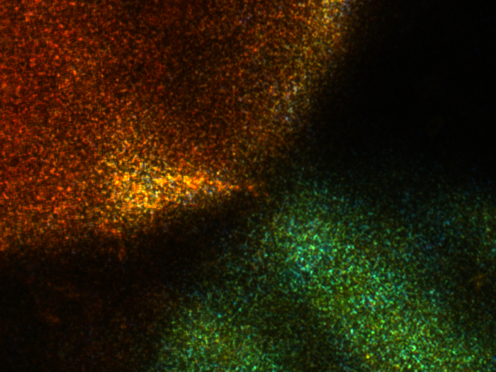 Eastman Color | Timeline of Historical Colors in Photography and Film